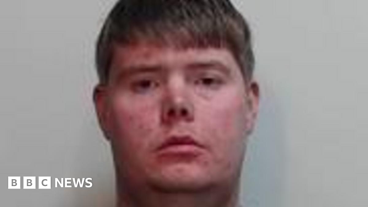 Man sentenced for Edinburgh hit-and-run which killed pedestrian - BBC News