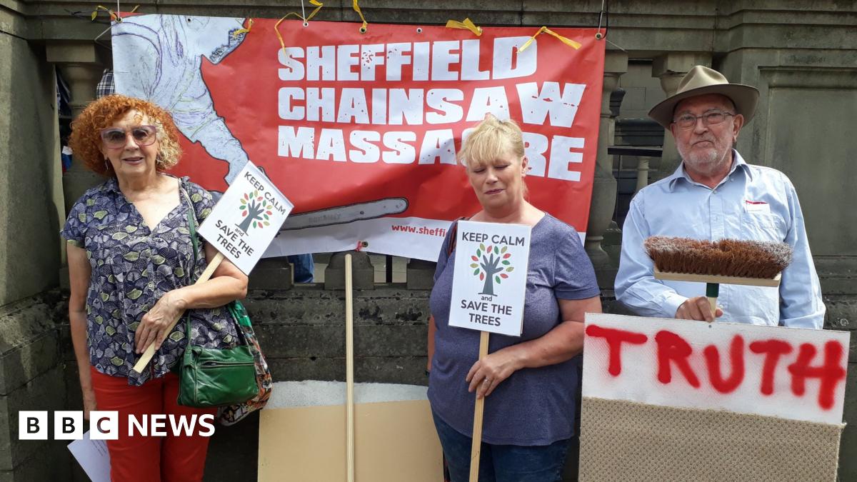 Sheffield City Council write apology to tree campaigners - BBC News
