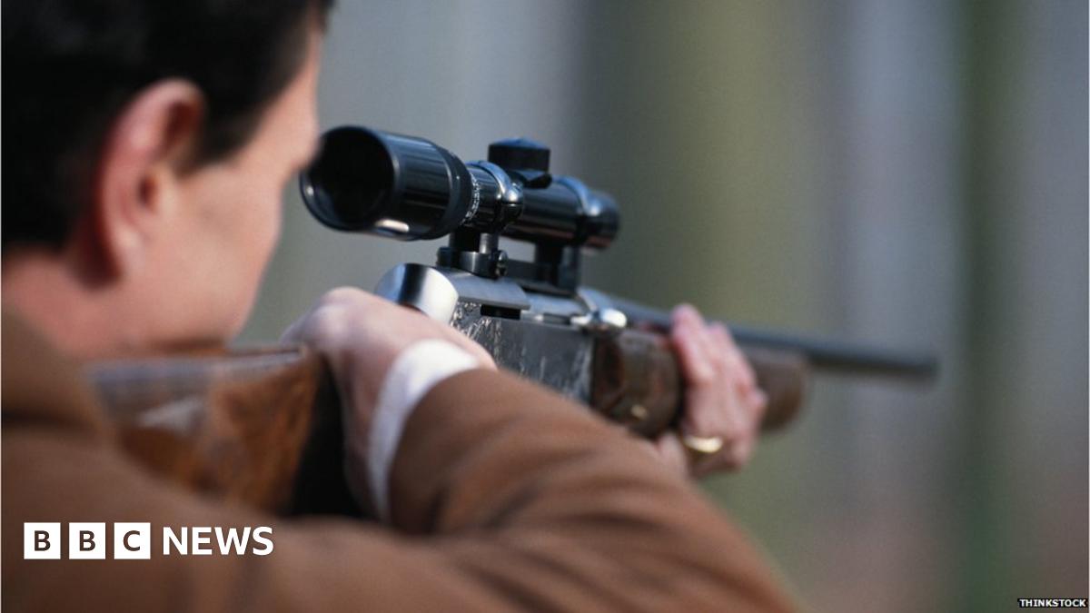 Firearms laws confused and unclear, Law Commission says - BBC News