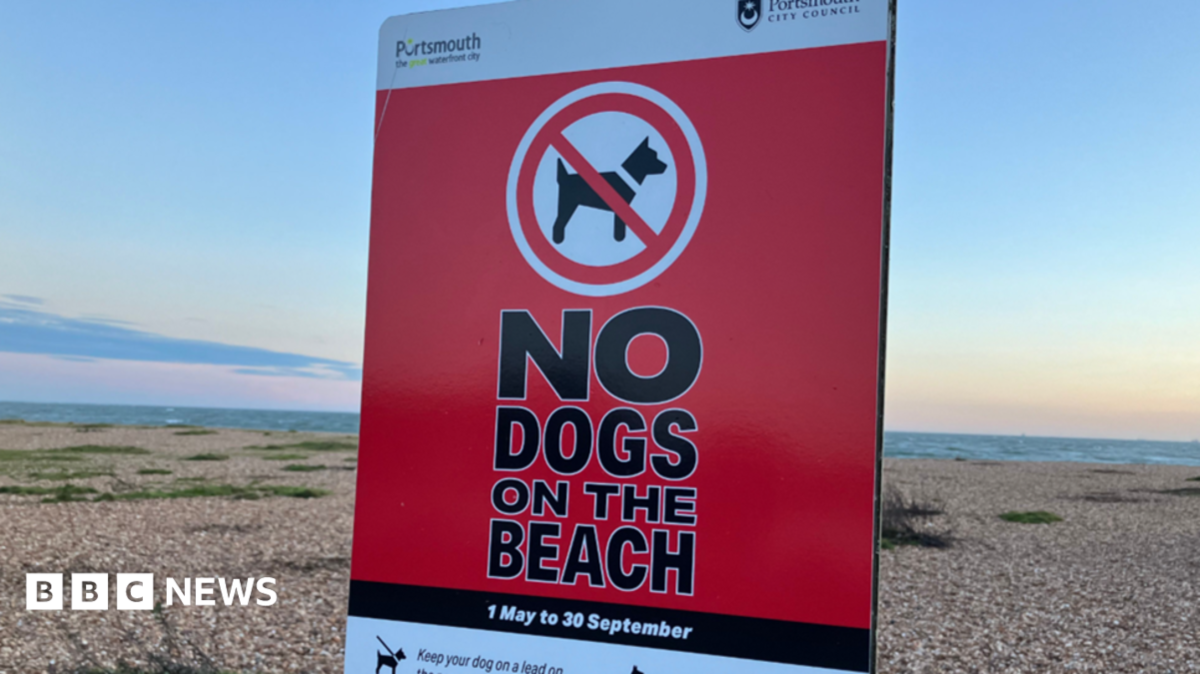 Portsmouth dog beach ban to remain as council fears 'tensions' - BBC News