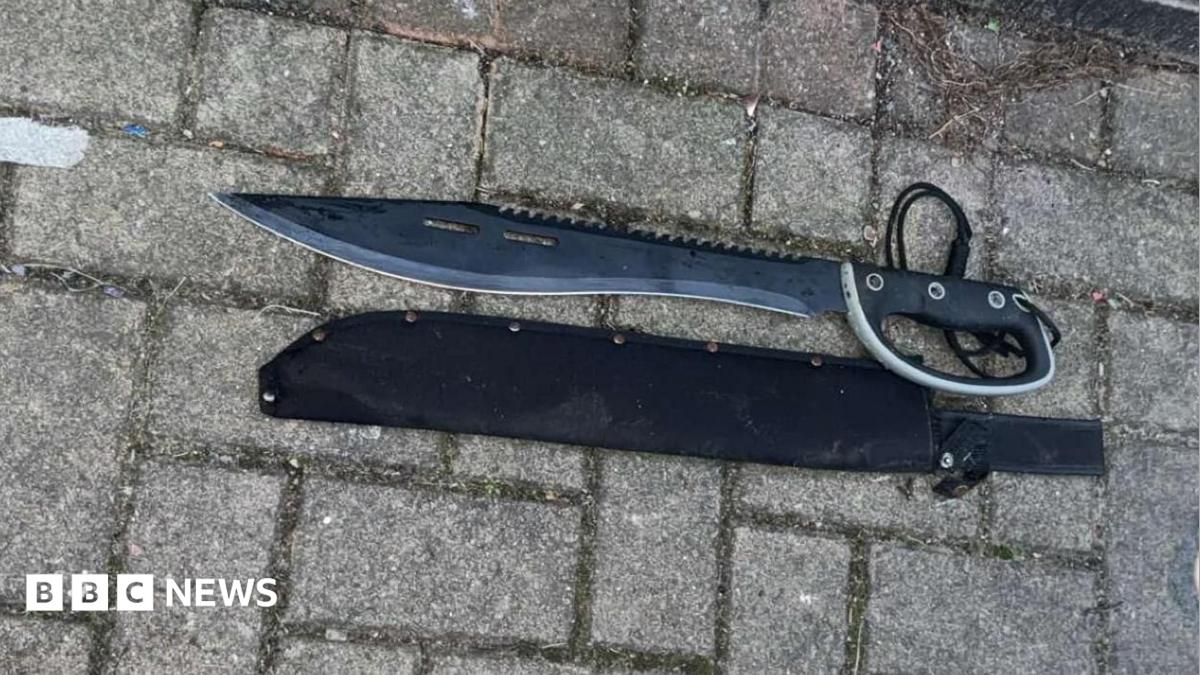 Large knife found by children in York adventure playground - BBC News