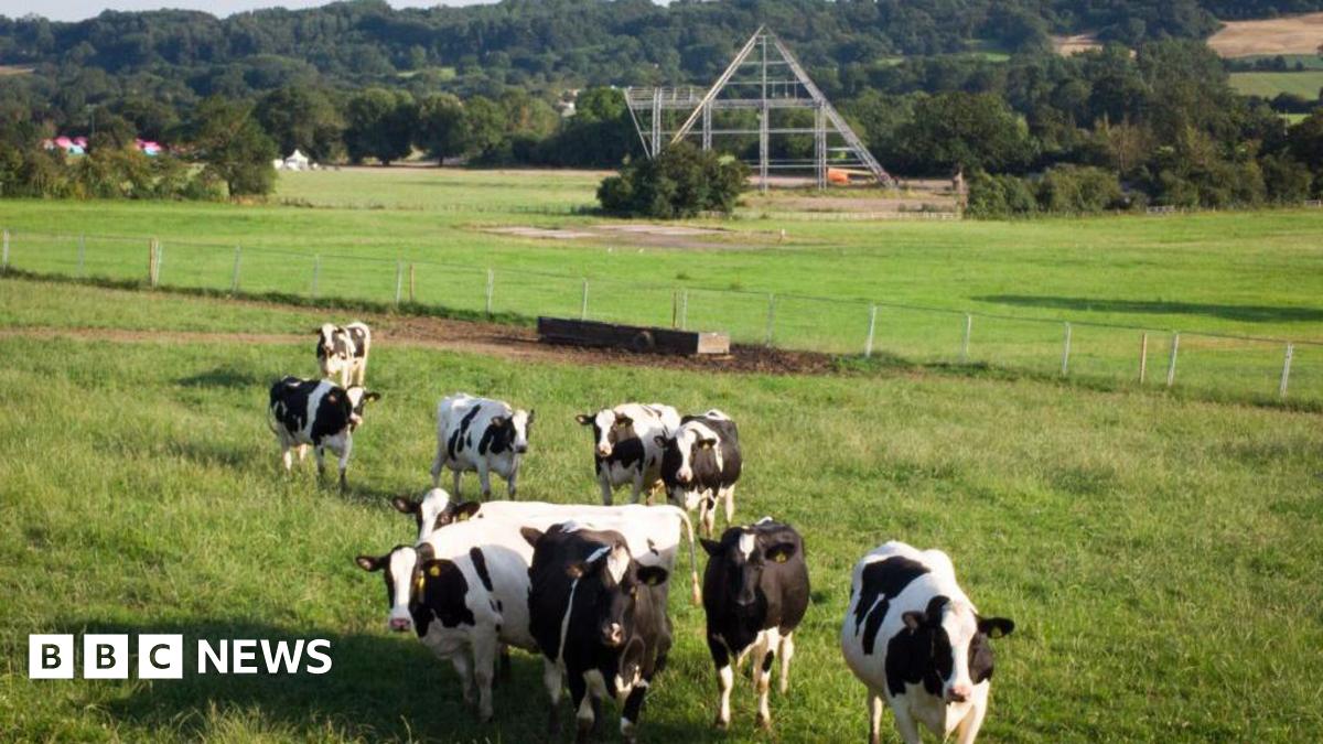 Life in Pilton: The village that hosts Glastonbury Festival - BBC News
