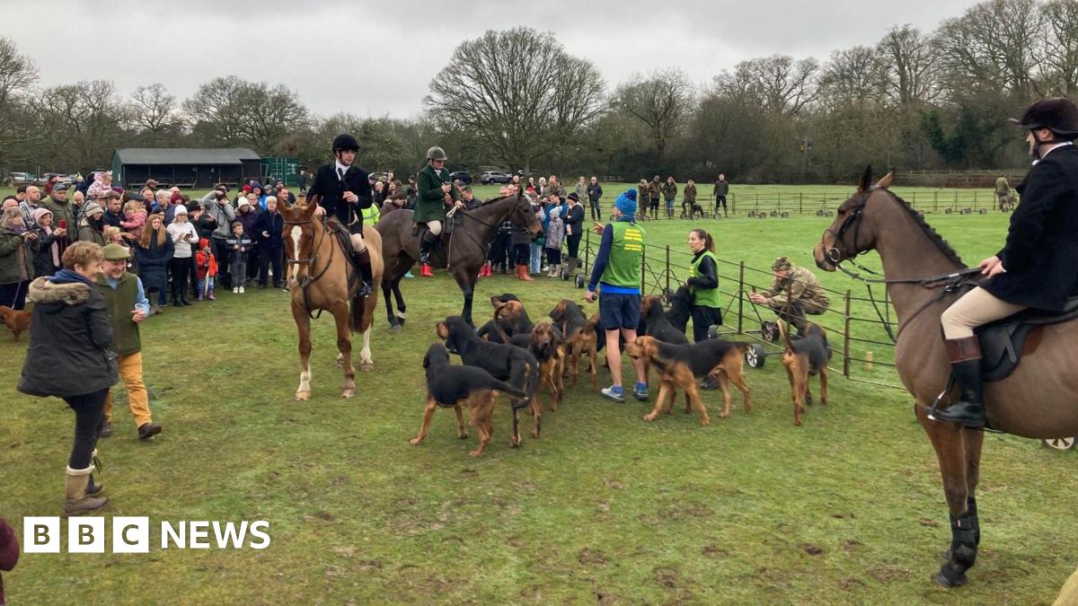 New Forest: Hunt ban questioned at traditional Boxing Day meet - BBC News