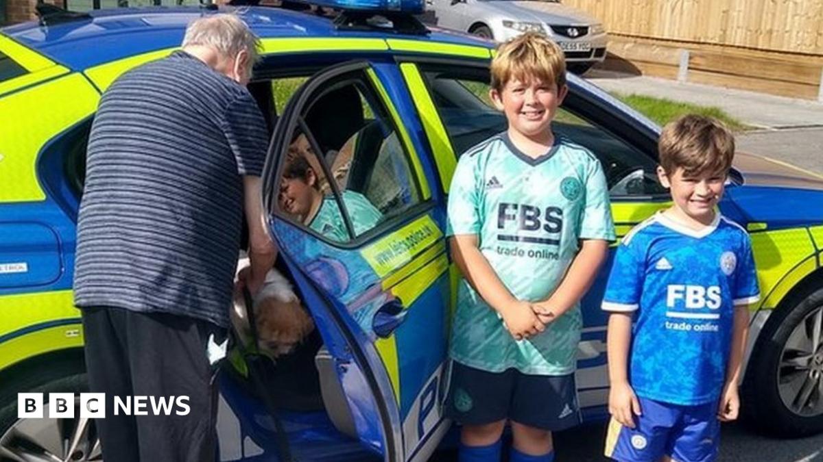 Boys catch runaway dogs that crossed busy Hinckley road - BBC News