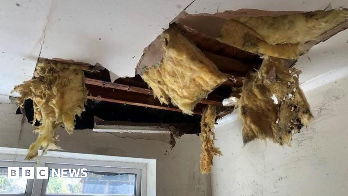 Swindon: 'Nightmare' builder handed suspended prison sentence - BBC News