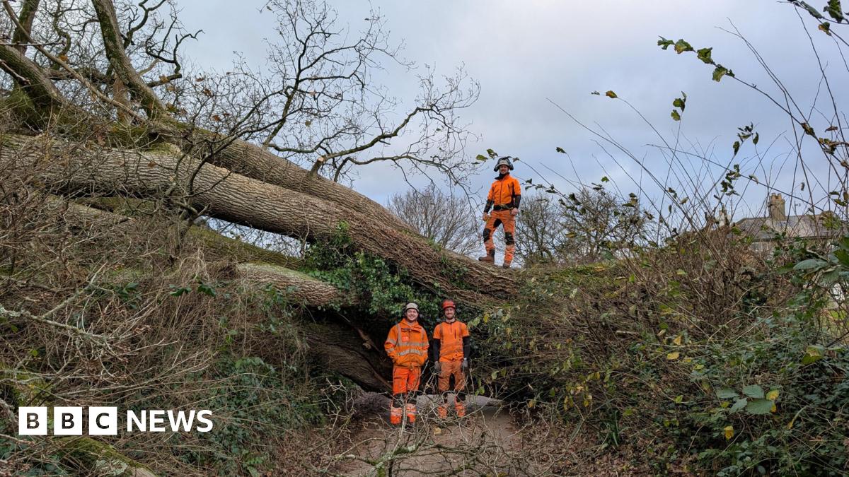 Storm Darragh: Thousands in Devon and Cornwall stay without power - BBC ...