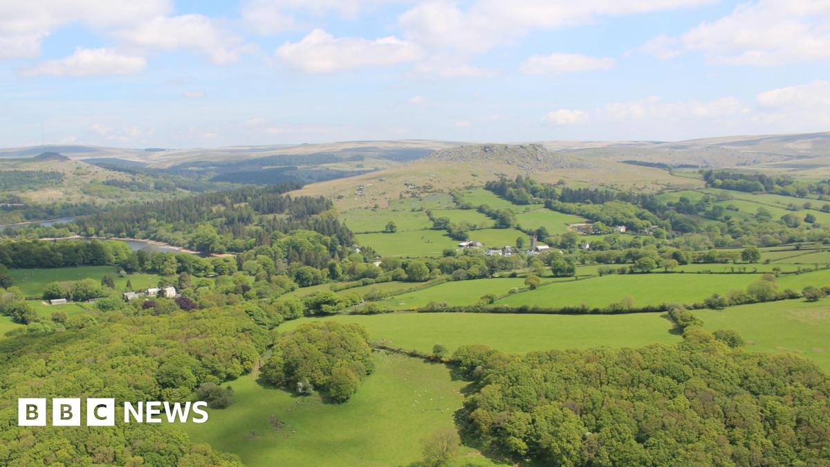 Plan revealed for future of local government in Devon - BBC News