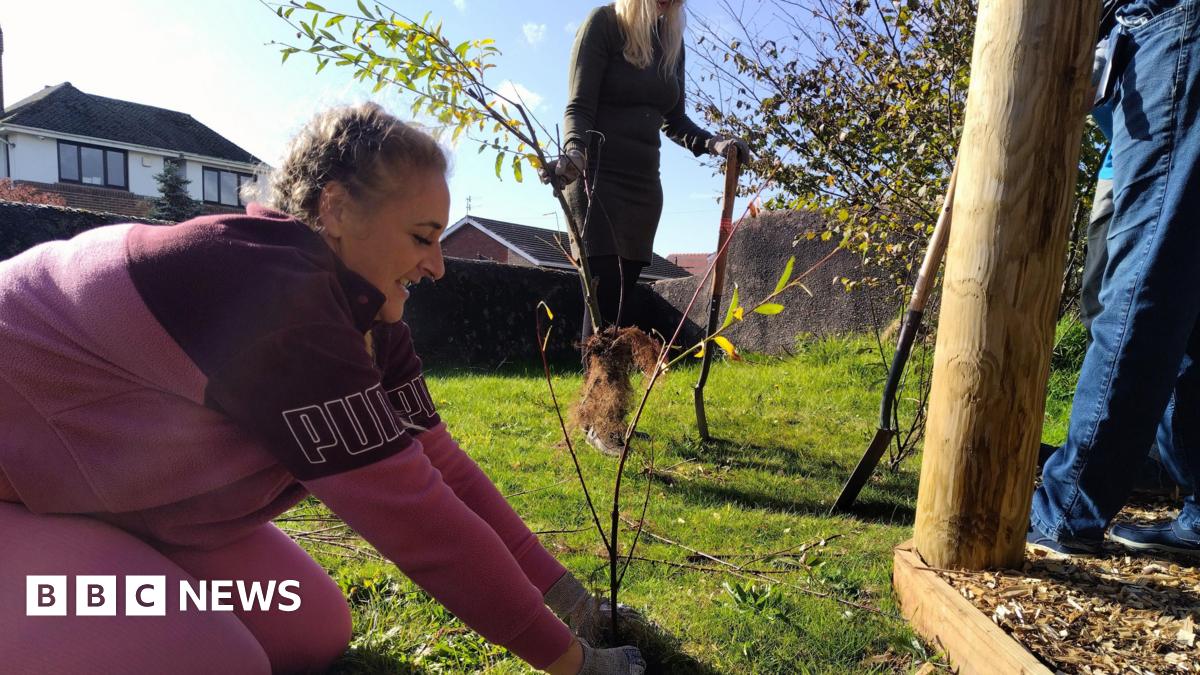 Preesall wildlife shelter's 'amazing effect' on wellbeing - BBC News