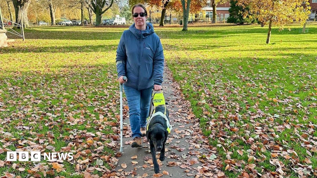 Puppy travels from Japan to become guide dog in Worcestershire - BBC News