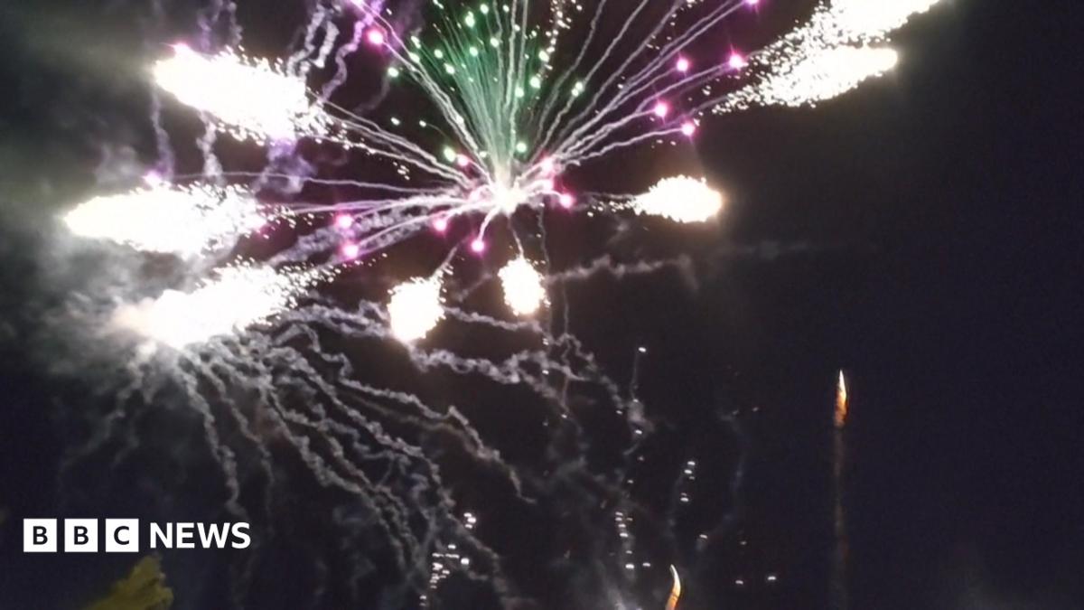French Bastille Day firework blast kills boy and sister - BBC News