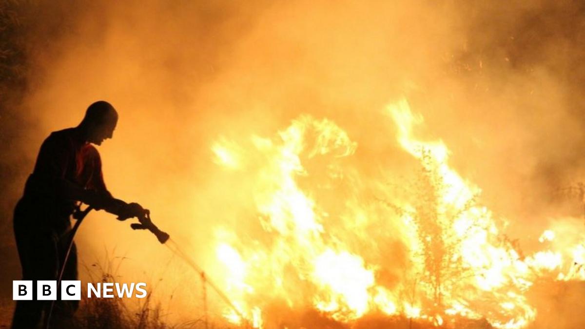 Fire at Tottenham grassland 'size of three football pitches' - BBC News