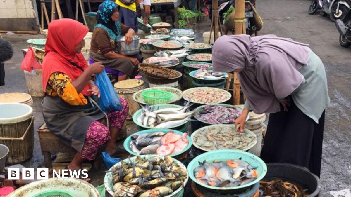 Indonesian study into health risks of microplastics - BBC News