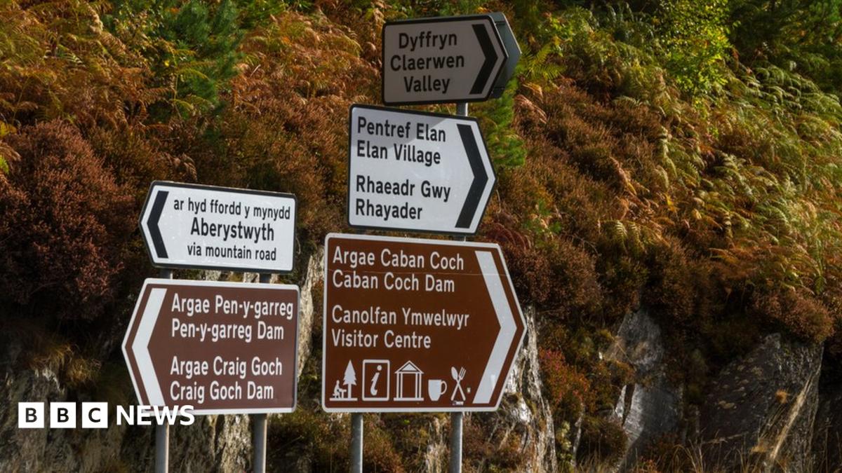 'Laborious' Welsh language rules on hold for private firms - BBC News