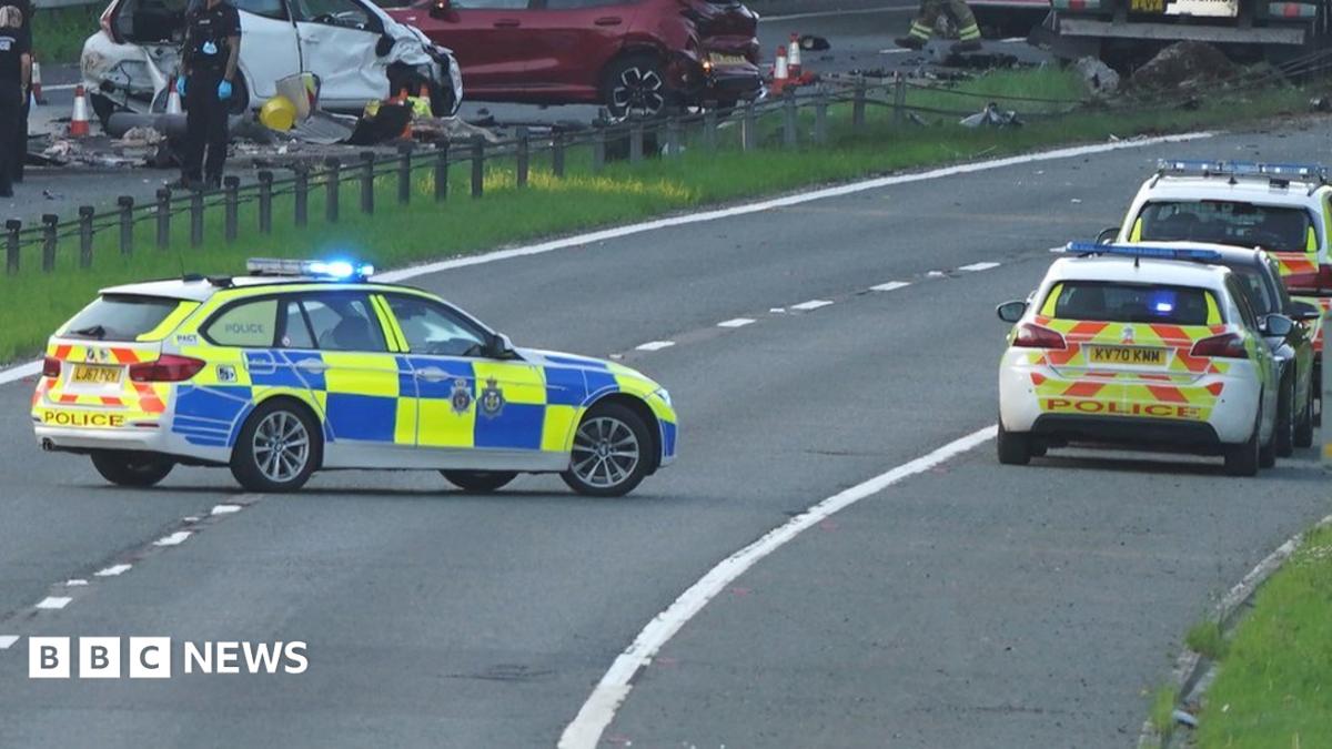 Durham A1 crash: Lorry driver admits causing three deaths - BBC News