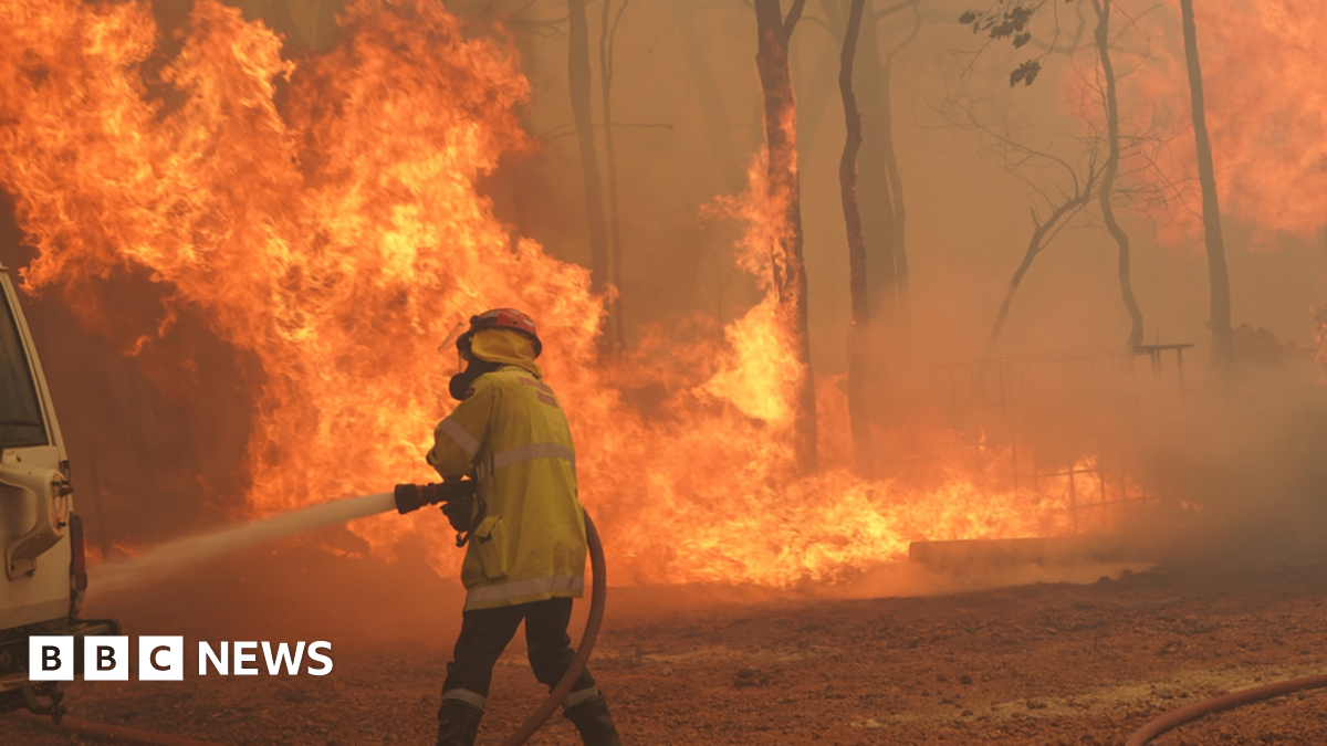 Perth bushfire: Evacuations as dozens of homes destroyed - BBC News