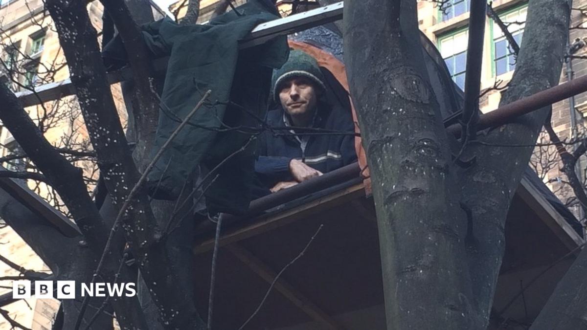 Tree protester evicted from hotel site in Edinburgh's Grassmarket - BBC ...