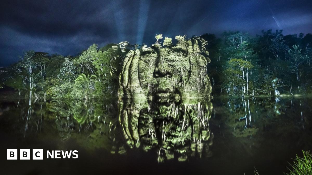 In pictures: The Blood Forest - BBC News