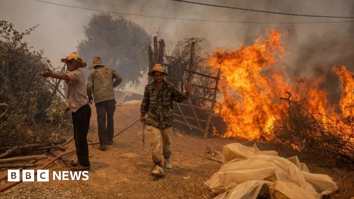 Morocco wildfires: Toxic smoke and raging blazes - BBC News