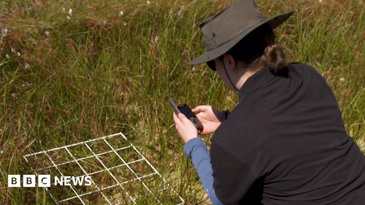 Thorne and Hatfield Moors peatland mapping to save 'waning reserves ...