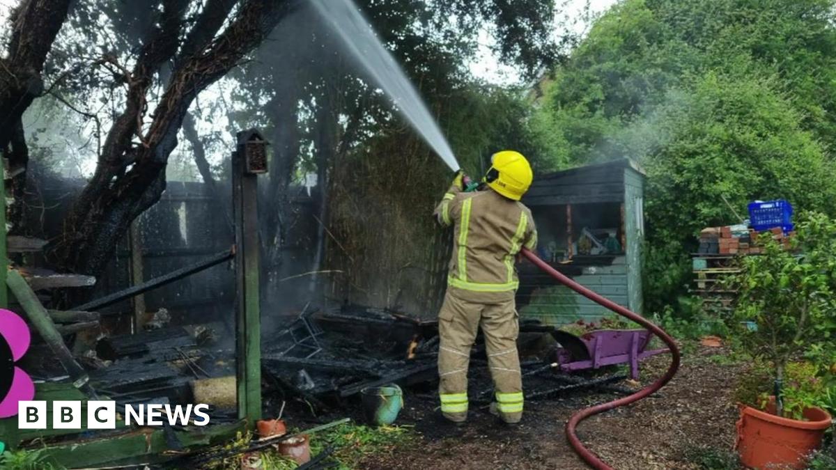 Basingstoke: Community garden set on fire in arson attack - BBC News