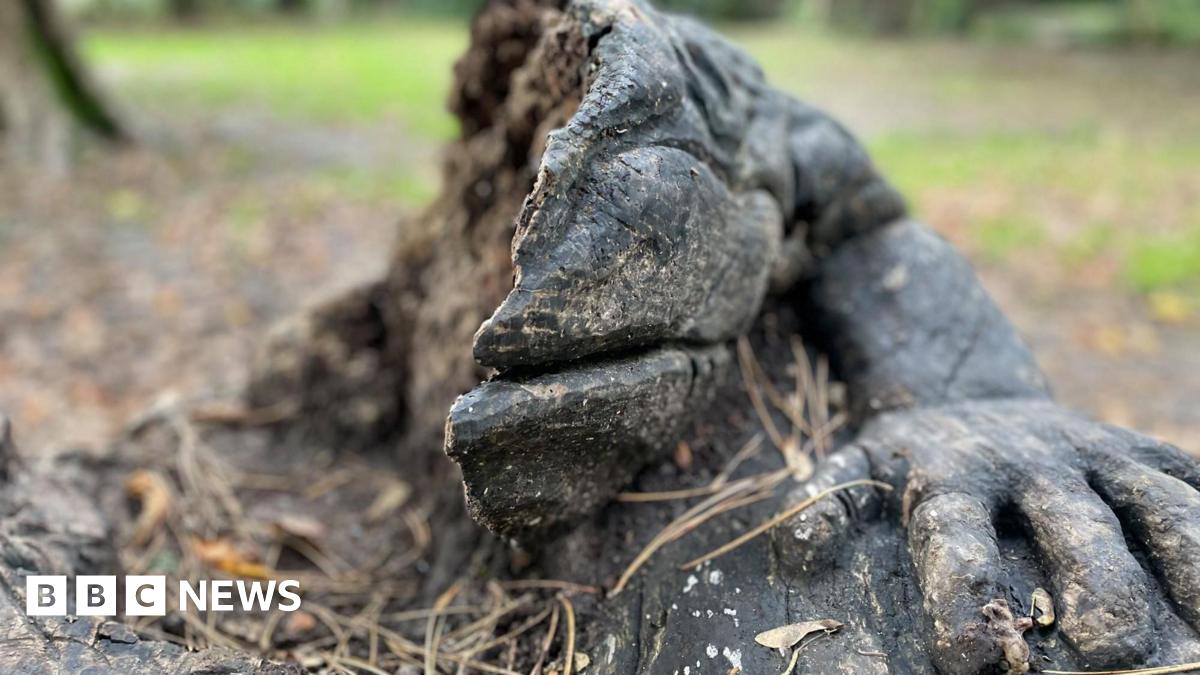 Endcliffe Park toad sculpture to be replaced after badger damage - BBC News