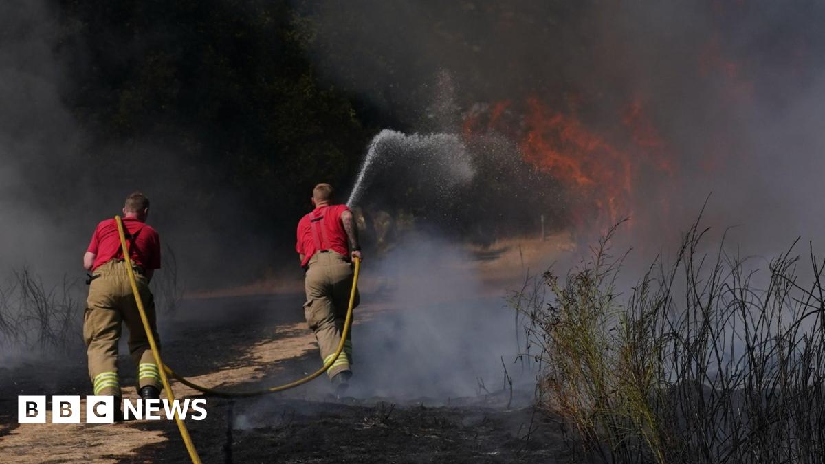 London summers: Wildfires and scorched earth - BBC News