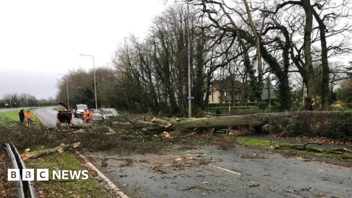Tributes paid to Lancashire man killed by tree in Storm Darragh - BBC News
