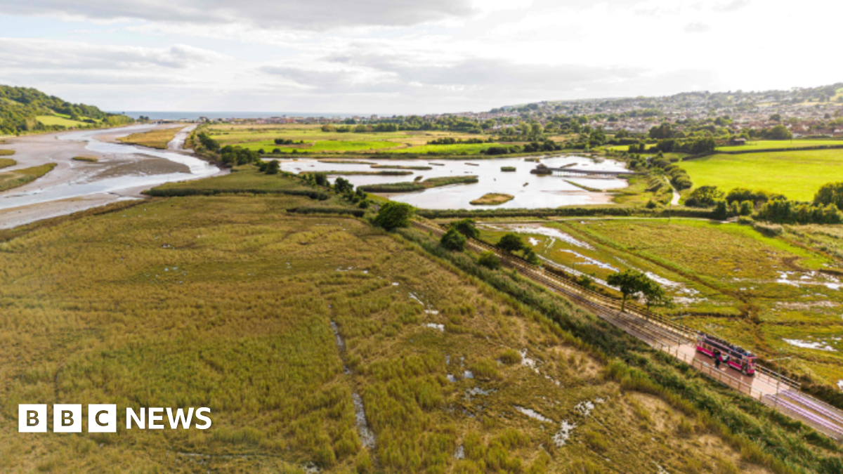 East Devon council gets funding to sort River Axe pollution - BBC News
