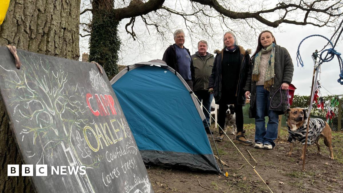 Cowfold: Group will camp 'for as long as needed' to save tree - BBC News