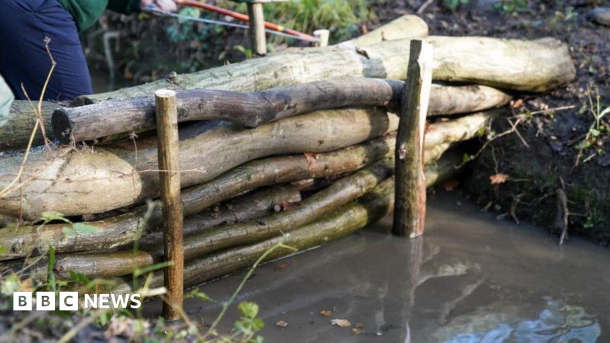 Epping to see hundreds of leaky dams installed to stop floods - BBC News