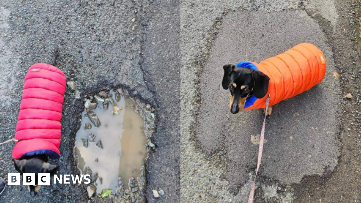 Thousands in north Devon join community potholes campaign - BBC News