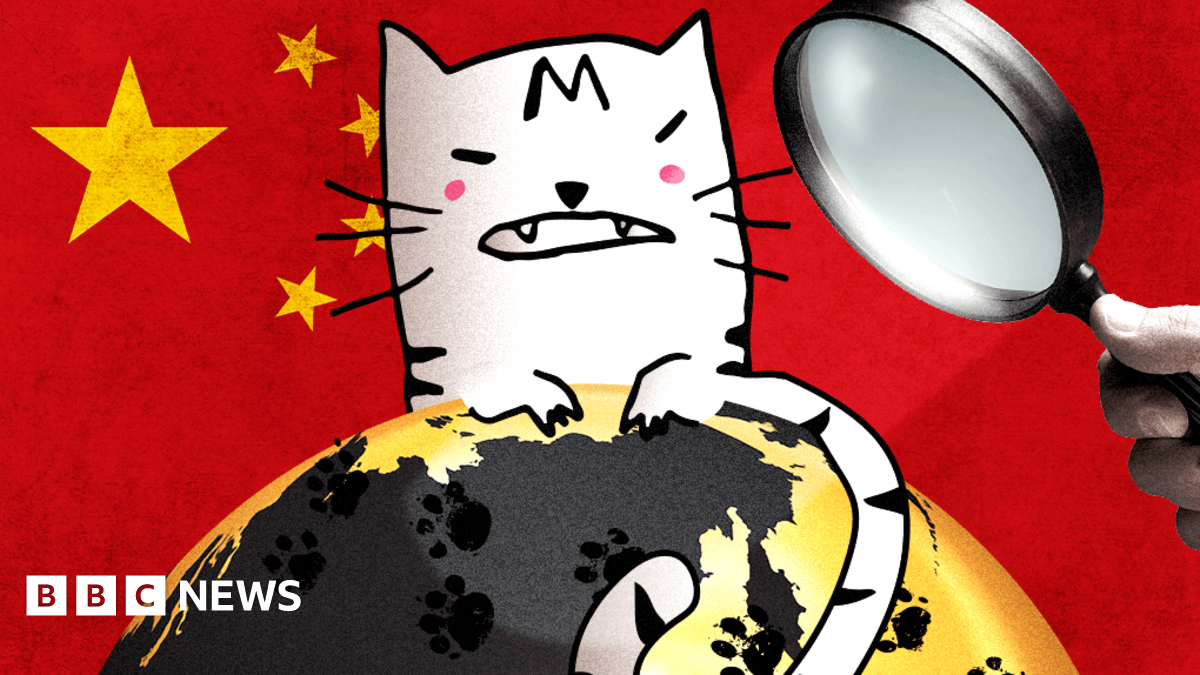 Teacher Li: The hunt for the cartoon cat vexing China's censors - BBC News