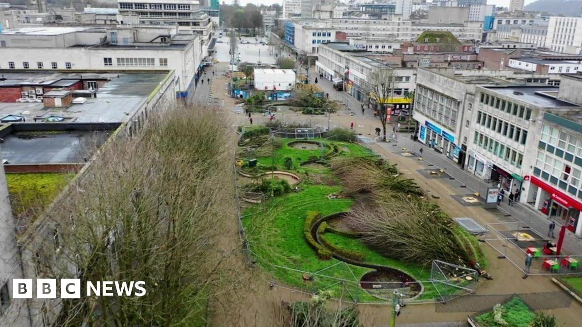 Plymouth council's bid to end legal action over trees rejected - BBC News