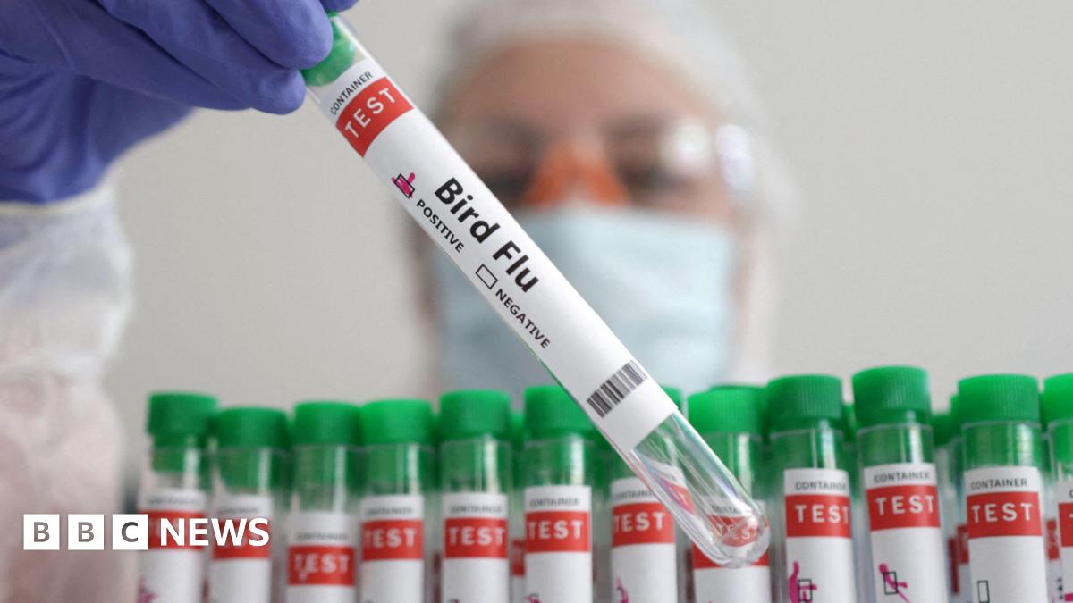 Man in Mexico dies with first human case of H5N2 bird flu - BBC News