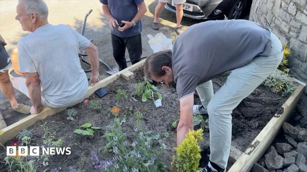 Couple filmed destroying flowerbed in Flintshire village row - BBC News