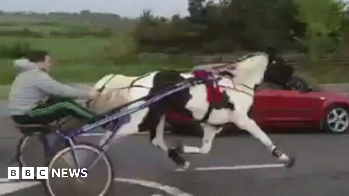 Thames Valley PCC urges ban on pony and trap racing on roads - BBC News