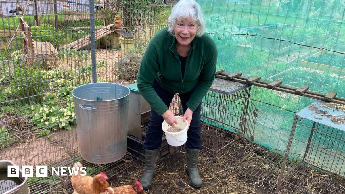 Exeter allotment users urge council to scrap planned price hike - BBC News