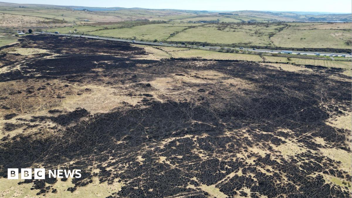 moorland-fires-having-serious-impact-on-wildlife-bbc-news