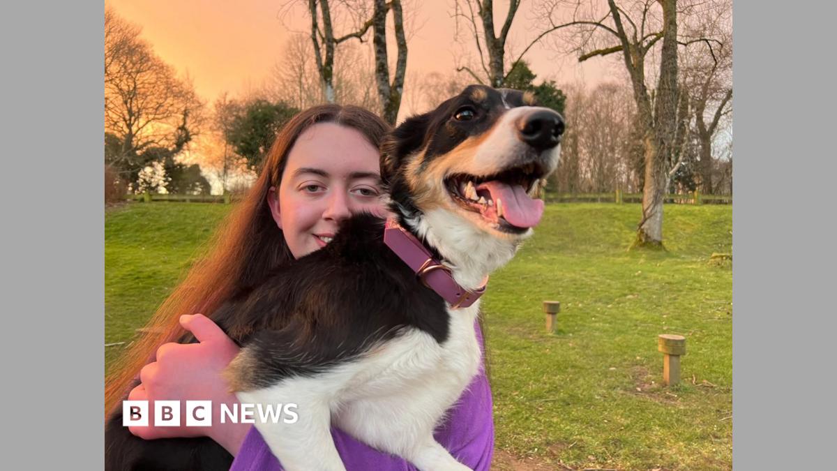 'Badly behaved' rescue dog Zola to compete at Crufts - BBC News