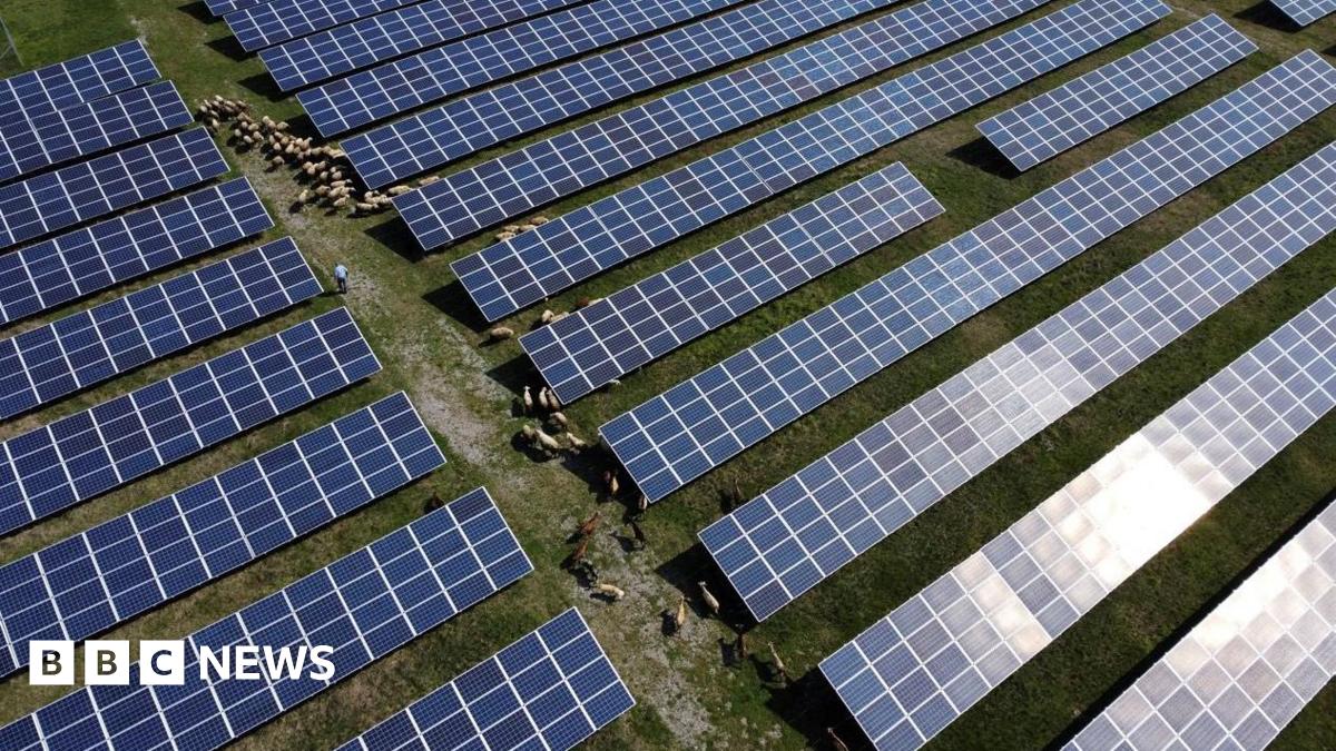 Controversial solar farm near Torrington will go ahead - BBC News