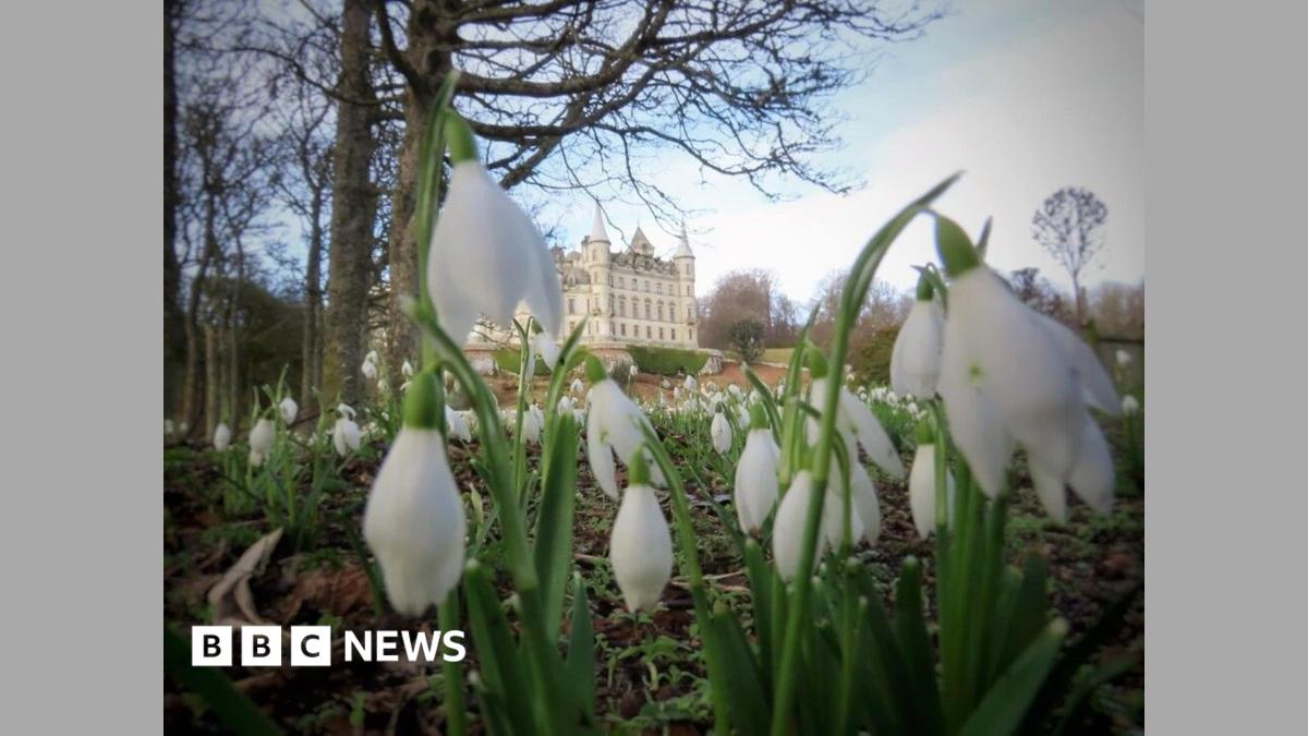 Your pictures of Scotland: Photographs from around the country - BBC News
