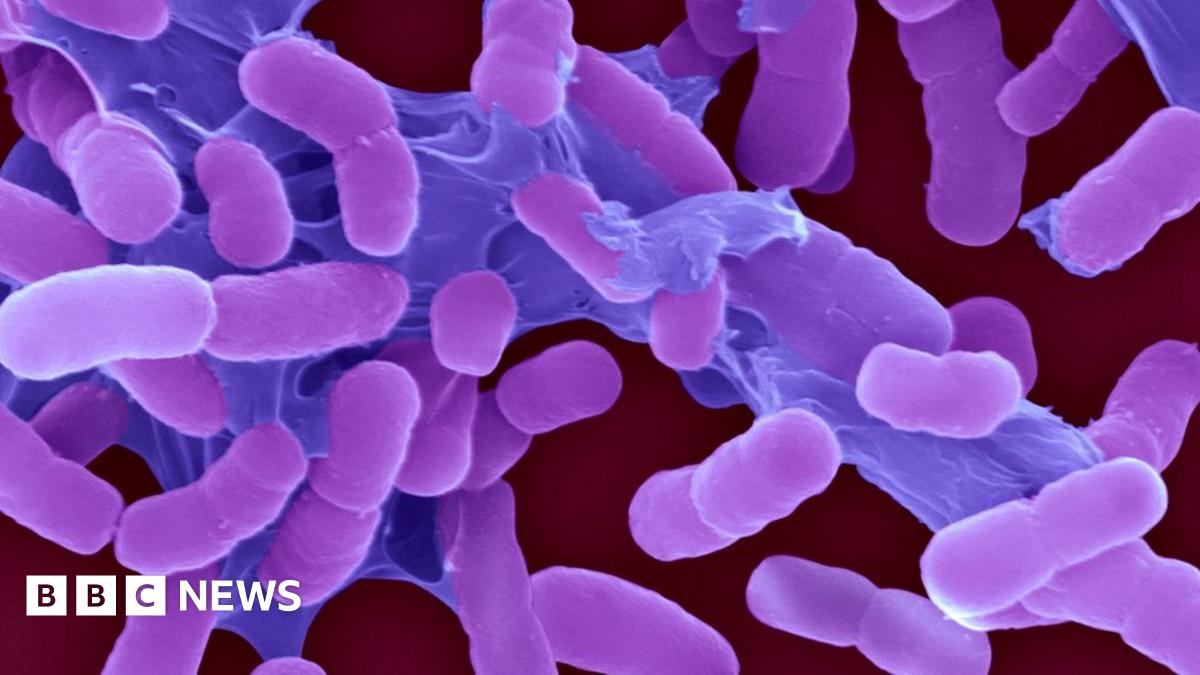World's most threatening superbugs ranked in new list - BBC News