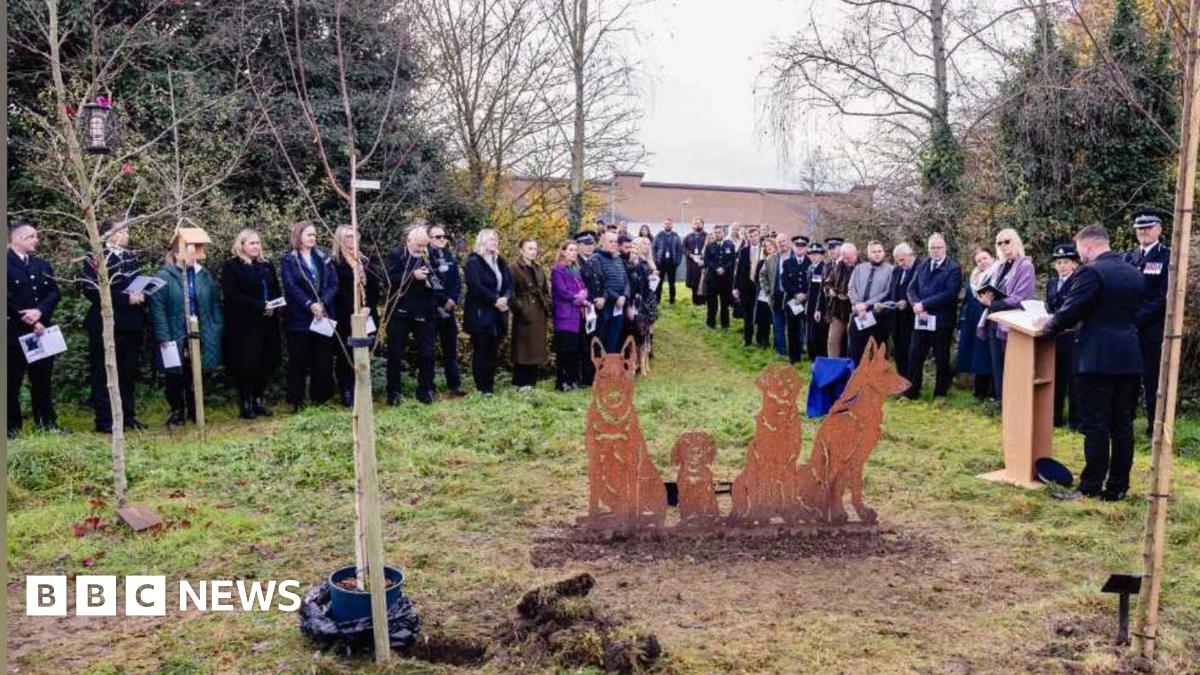 Humberside Police dogs honoured at dedicated Hull memorial garden - BBC ...