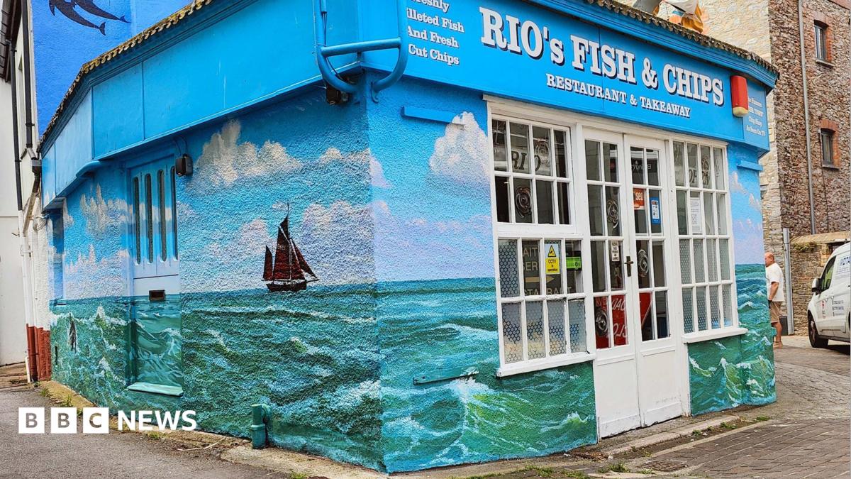 Murals unveiled around Brixham as part of community project - BBC News