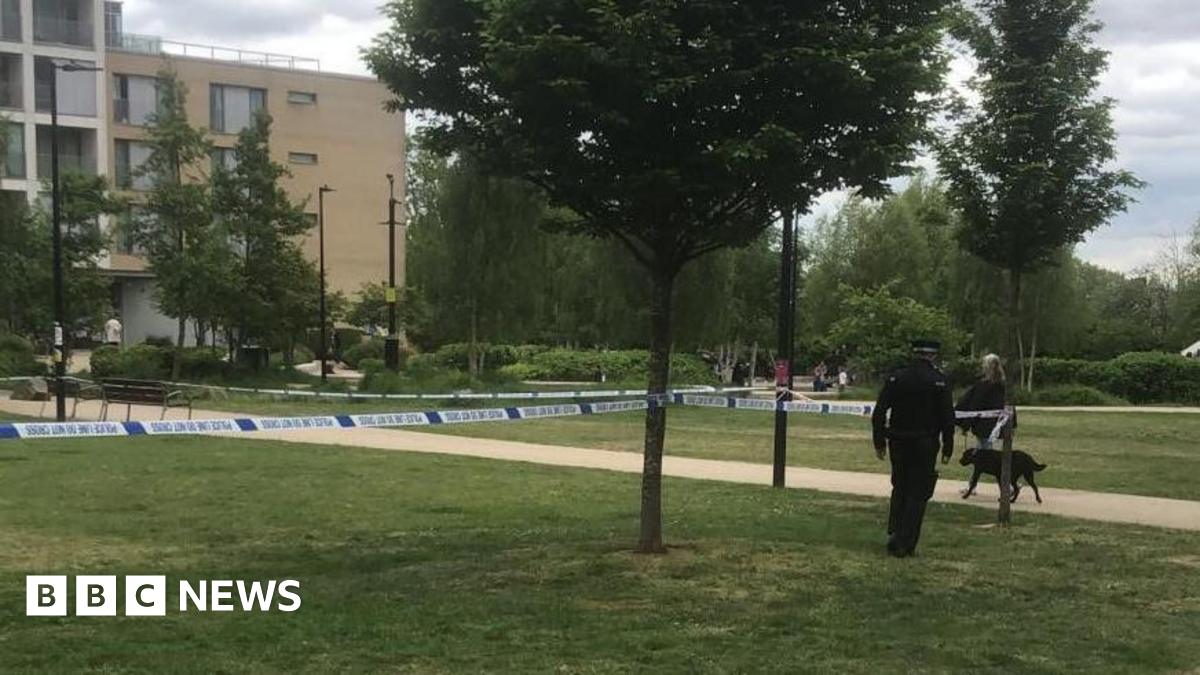 Man charged with Manor House murder and robbery of 87-year-old - BBC News