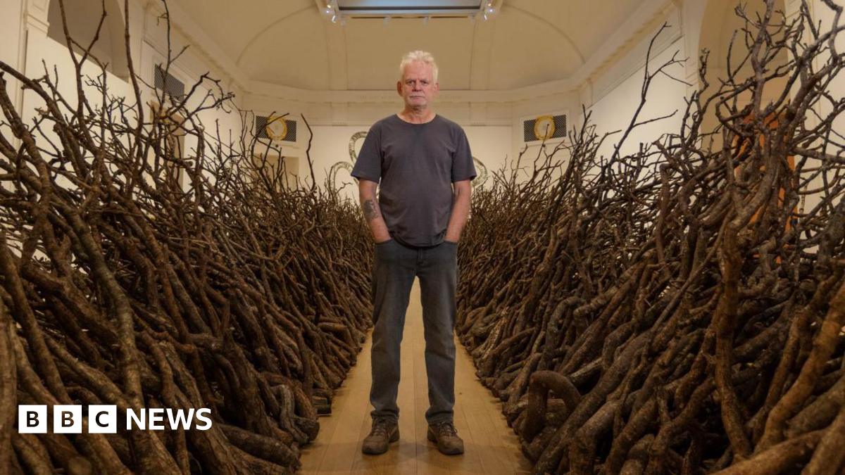 A life's artwork: 50 years of Andy Goldsworthy - BBC News