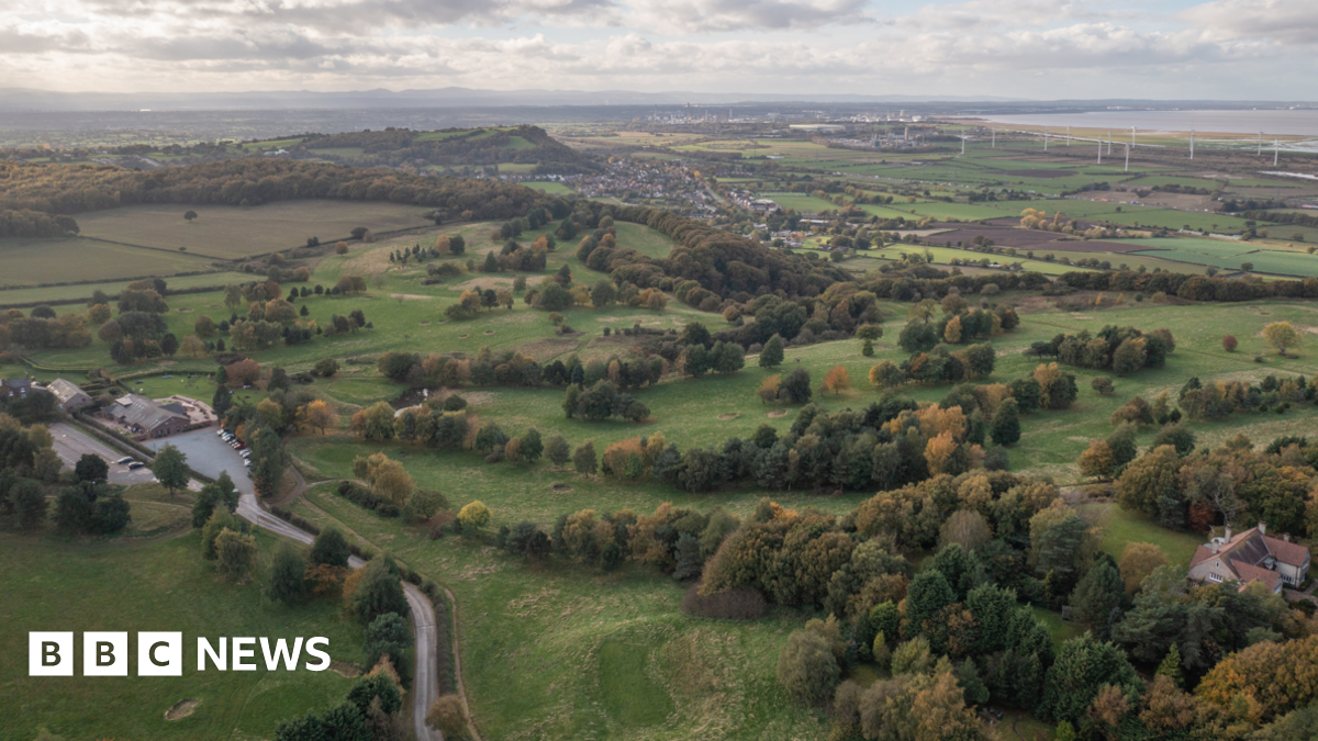 Northern Forest: 1.9 million trees planted in 2023 - BBC News