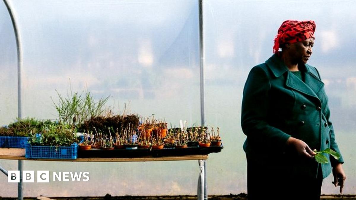 Refugees find new roots through the power of gardening - BBC News