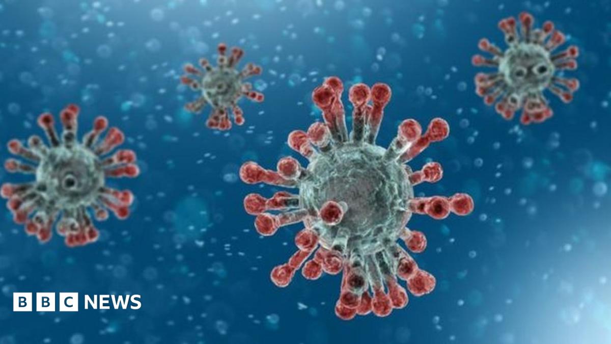 Coronavirus: Guernsey updates 18-19 March 2020 - BBC News