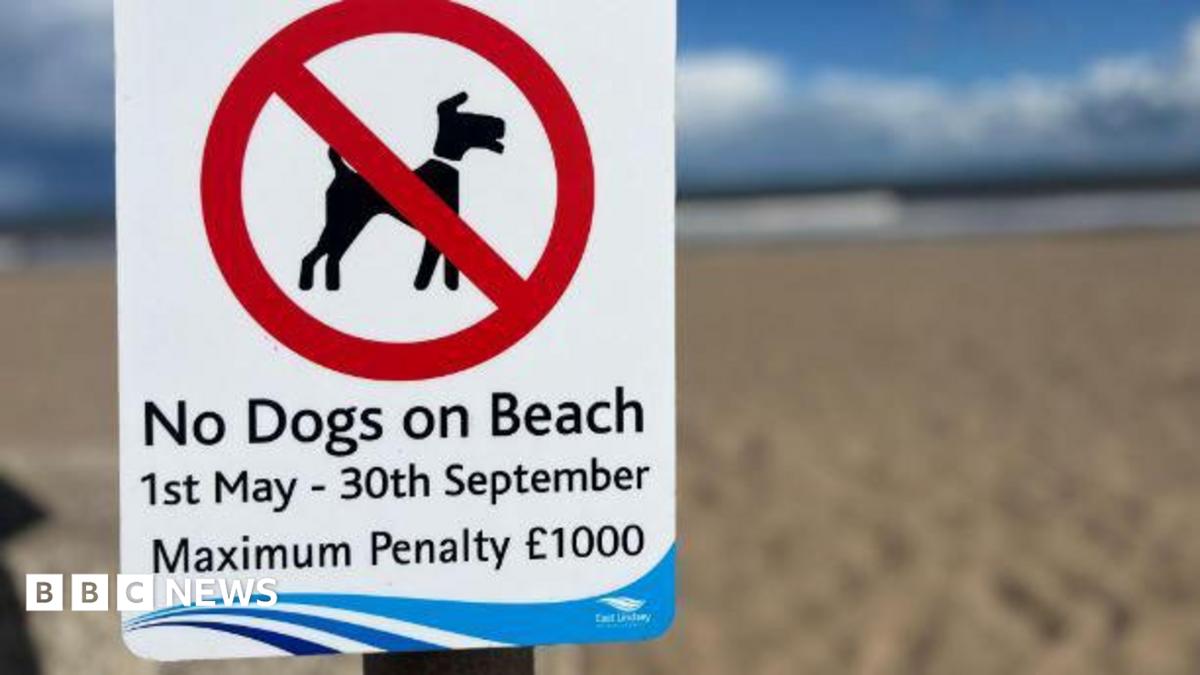 Beach dog ban renewed at Mablethorpe, Skegness and Sutton on Sea - BBC News